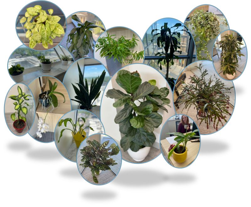 Reynolda Equity Partners on LinkedIn: #earthday2024 Reynolda Equity Partners on LinkedIn: #earthday2024