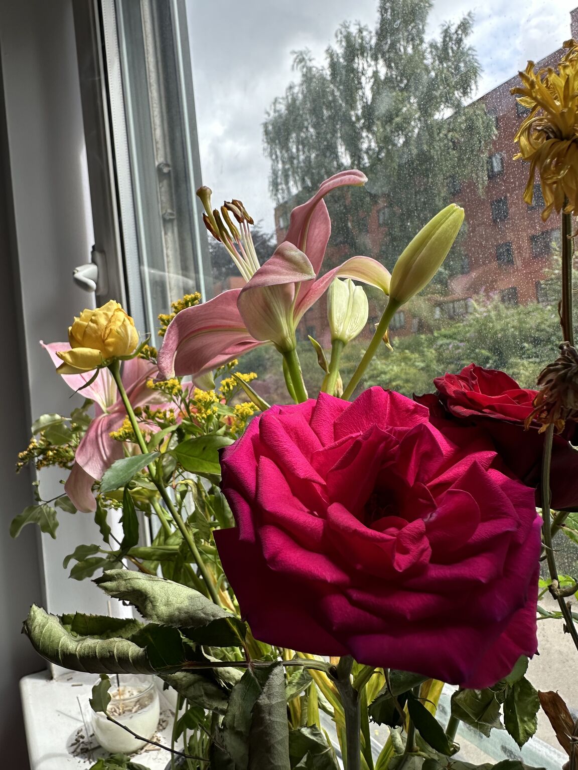 Rishi Mani on LinkedIn: #agilemethodologies #plantcare # ... Rishi Mani on LinkedIn: #agilemethodologies #plantcare # ...