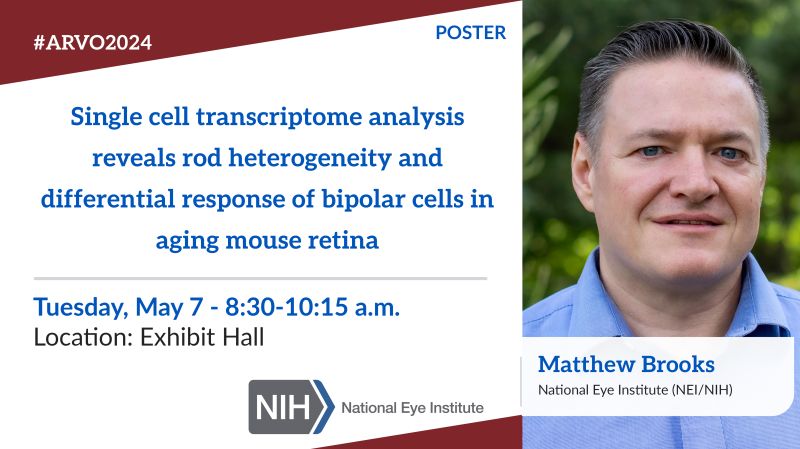 National Eye Institute (NEI) on LinkedIn: #arvo2024 #nei National Eye Institute (NEI) on LinkedIn: #arvo2024 #nei