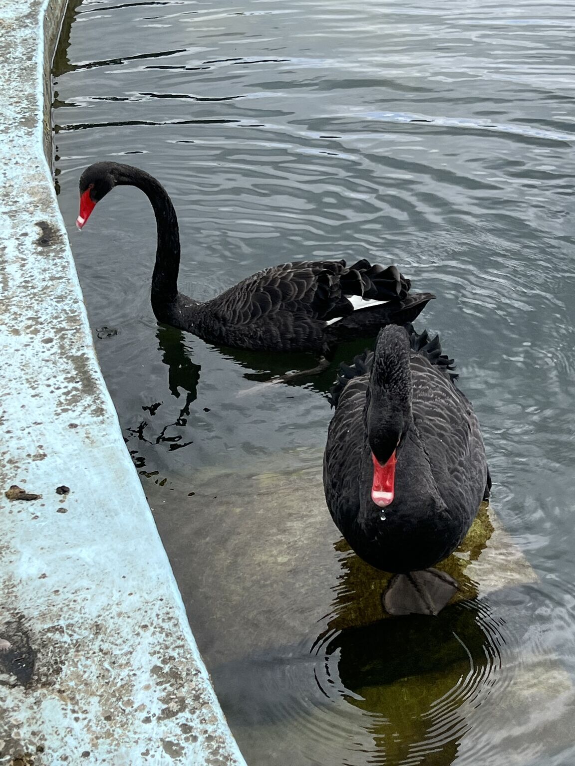 Amy Rowlinson on LinkedIn: Visiting Chartwell, home of Winston ... Amy Rowlinson on LinkedIn: Visiting Chartwell, home of Winston ...