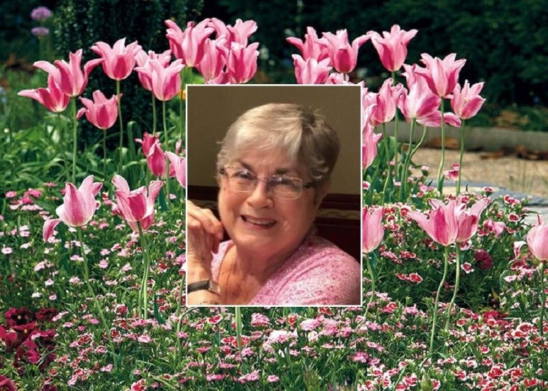 Williamson Source on LinkedIn: OBITUARY: Janice Hobbs Sutton - https ... Williamson Source on LinkedIn: OBITUARY: Janice Hobbs Sutton - https ...