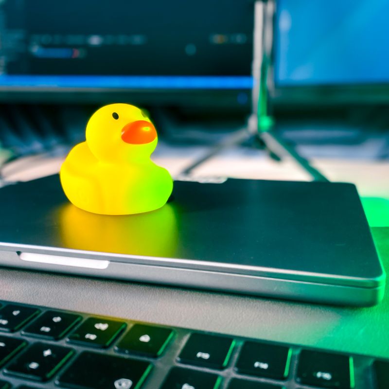 Marc ☁️ Firth on LinkedIn: #rubberduckdebugging Marc ☁️ Firth on LinkedIn: #rubberduckdebugging