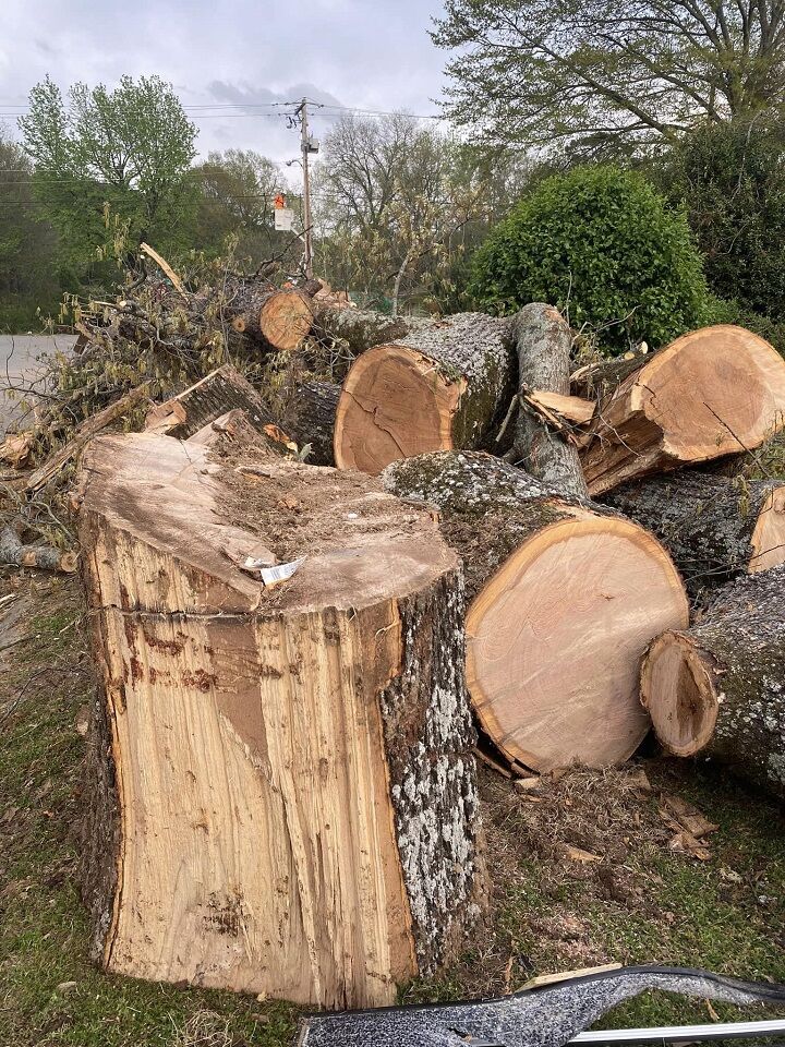 All Pro Huntsville Tree Service on LinkedIn: Big trees create big logs ... All Pro Huntsville Tree Service on LinkedIn: Big trees create big logs ...