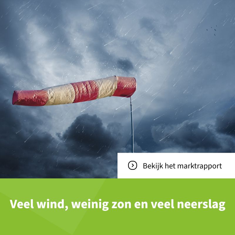 PZEM op LinkedIn: Veel wind, weinig zon en veel neerslag - PZEM PZEM op LinkedIn: Veel wind, weinig zon en veel neerslag - PZEM