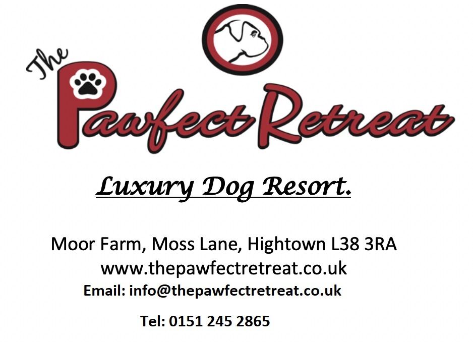 Paul McGrath KC on LinkedIn: #thepawfectretreat #luxurydoghotel # ... Paul McGrath KC on LinkedIn: #thepawfectretreat #luxurydoghotel # ...