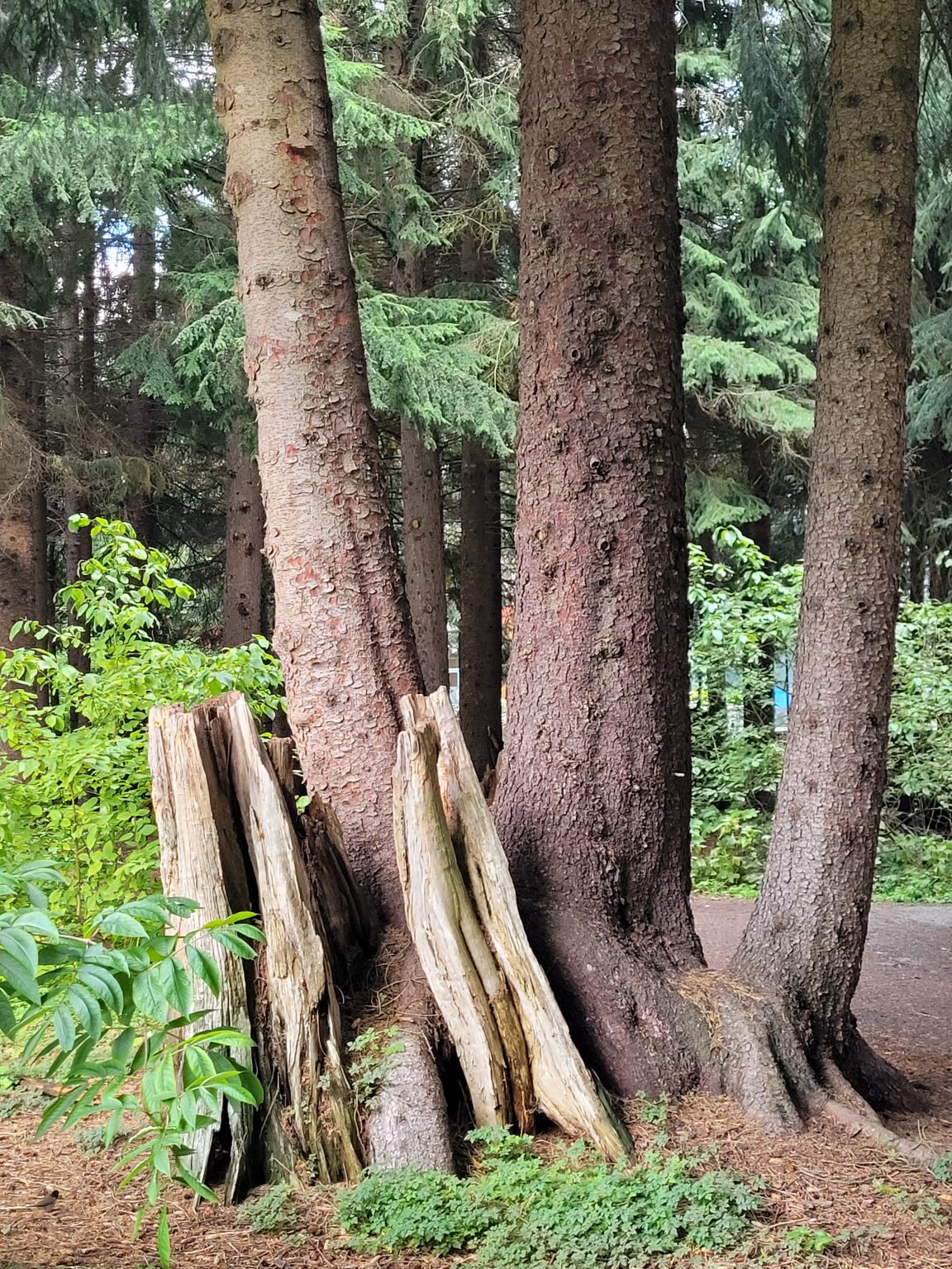 Stumped Strategic Consulting: One Purpose for Growth | Stumped ... Stumped Strategic Consulting: One Purpose for Growth | Stumped ...