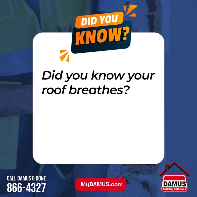 Damus Building Solutions on LinkedIn: #damusbuilding #roofingexperts Damus Building Solutions on LinkedIn: #damusbuilding #roofingexperts