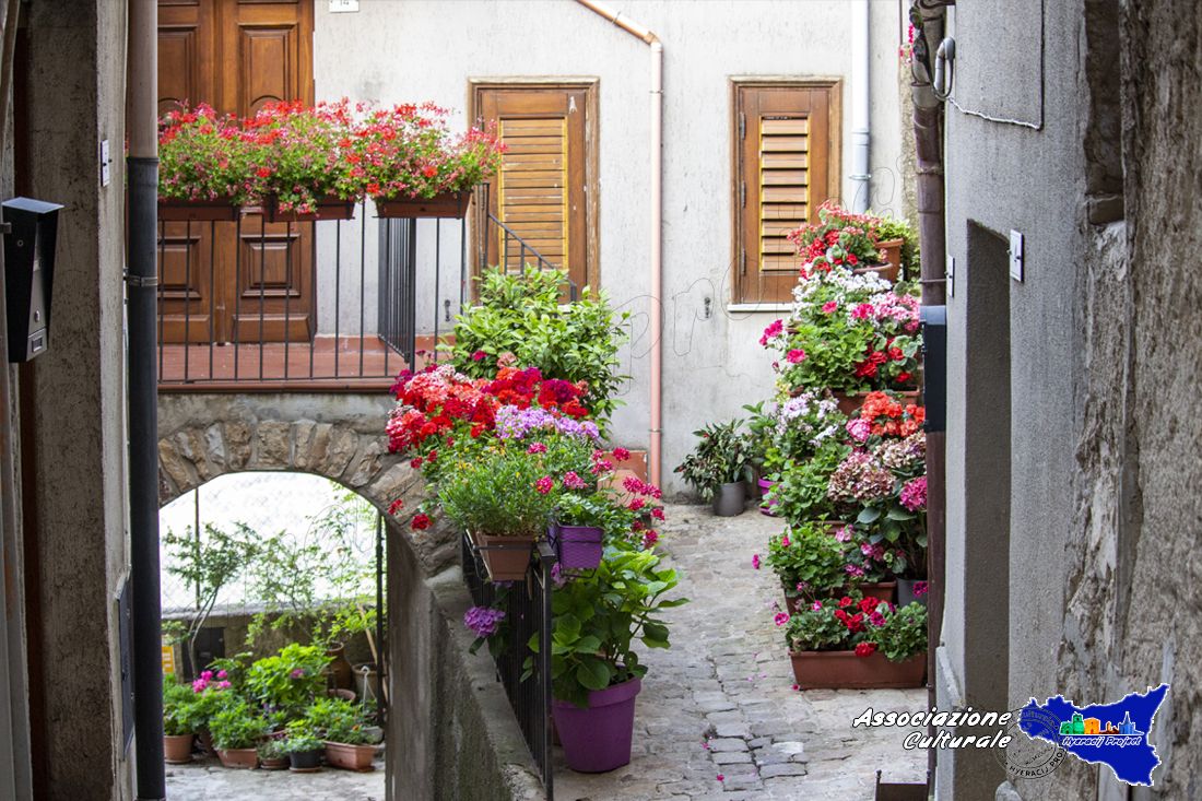 Hyeracij Project on LinkedIn: #ilmiocomunefiorito #geracisiculo # ... Hyeracij Project on LinkedIn: #ilmiocomunefiorito #geracisiculo # ...
