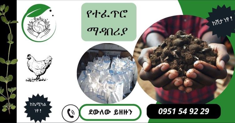 Bereket Berehanu on LinkedIn: Green World is comming to market ... Bereket Berehanu on LinkedIn: Green World is comming to market ...