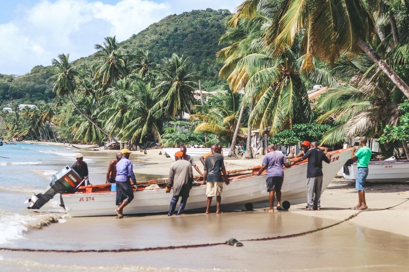 Chadia Mathurin on LinkedIn: - Bullish on the Caribbean. - Bullish on ... Chadia Mathurin on LinkedIn: - Bullish on the Caribbean. - Bullish on ...