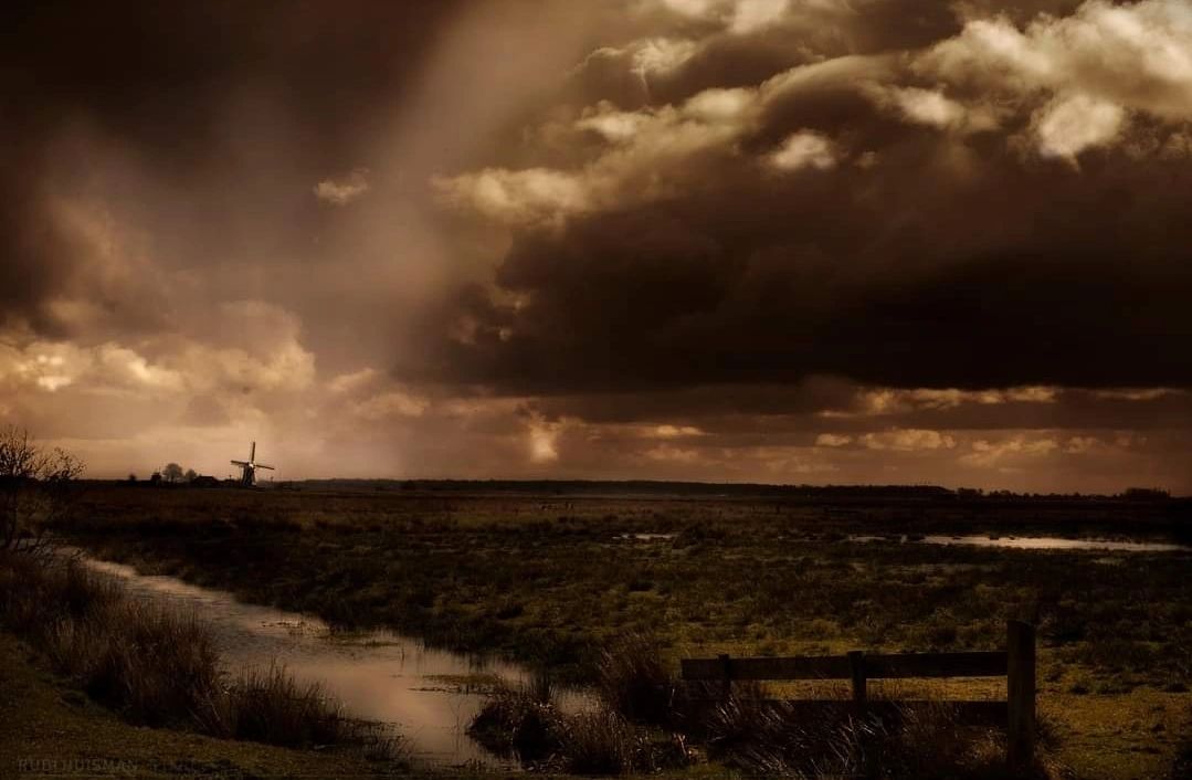 Rudi Huisman on LinkedIn: Code Orange. Netherlands. (c) Rudi Huisman Rudi Huisman on LinkedIn: Code Orange. Netherlands. (c) Rudi Huisman