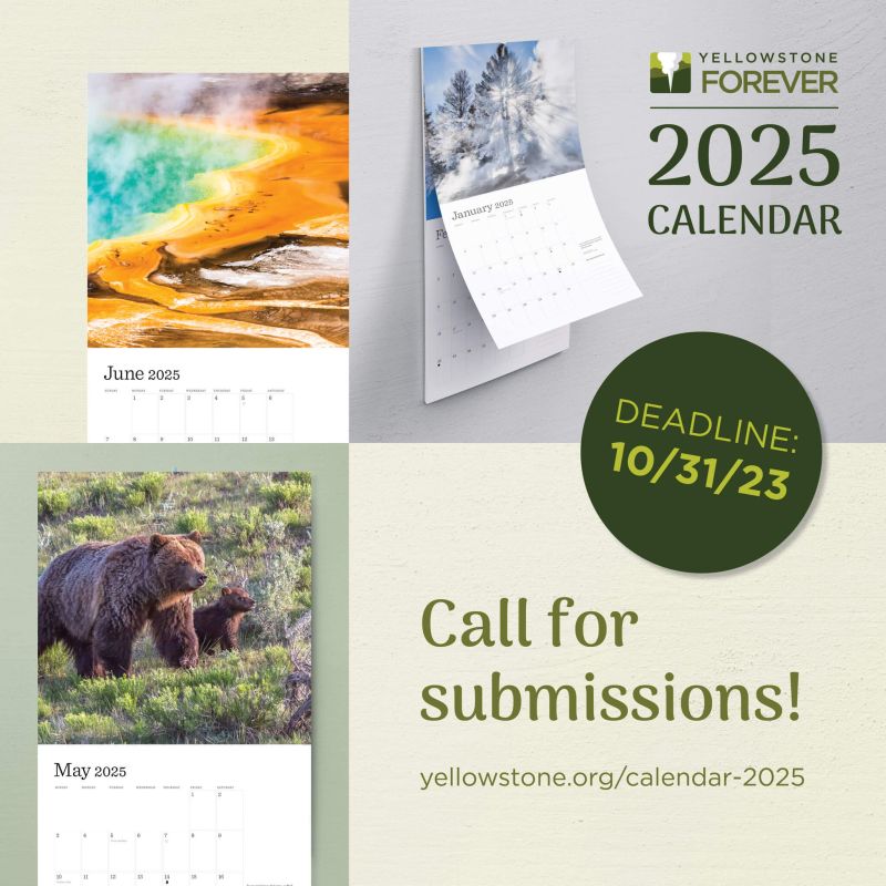 Wells Fargo Holidays 2025 Calendar - Bruce D Barron Wells Fargo Holidays 2025 Calendar - Bruce D Barron