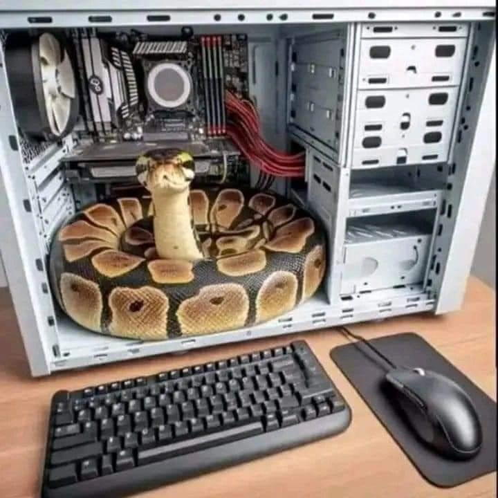 Umer Ali on LinkedIn: #python #programmer Umer Ali on LinkedIn: #python #programmer
