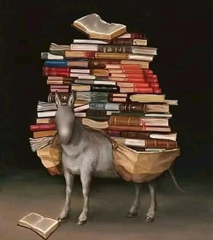 Mohamed Nader posted on LinkedIn Mohamed Nader posted on LinkedIn