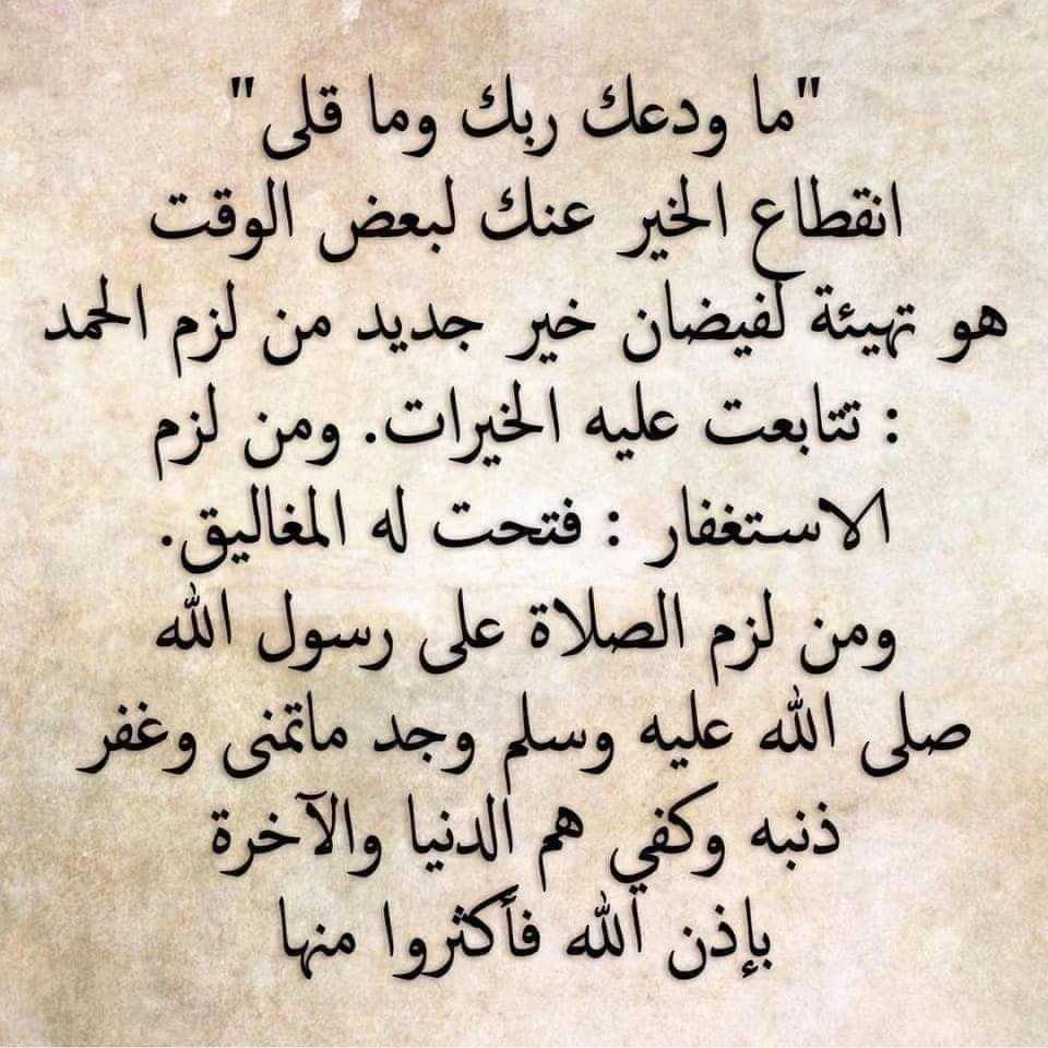 Salma Mostafa posted on LinkedIn Salma Mostafa posted on LinkedIn