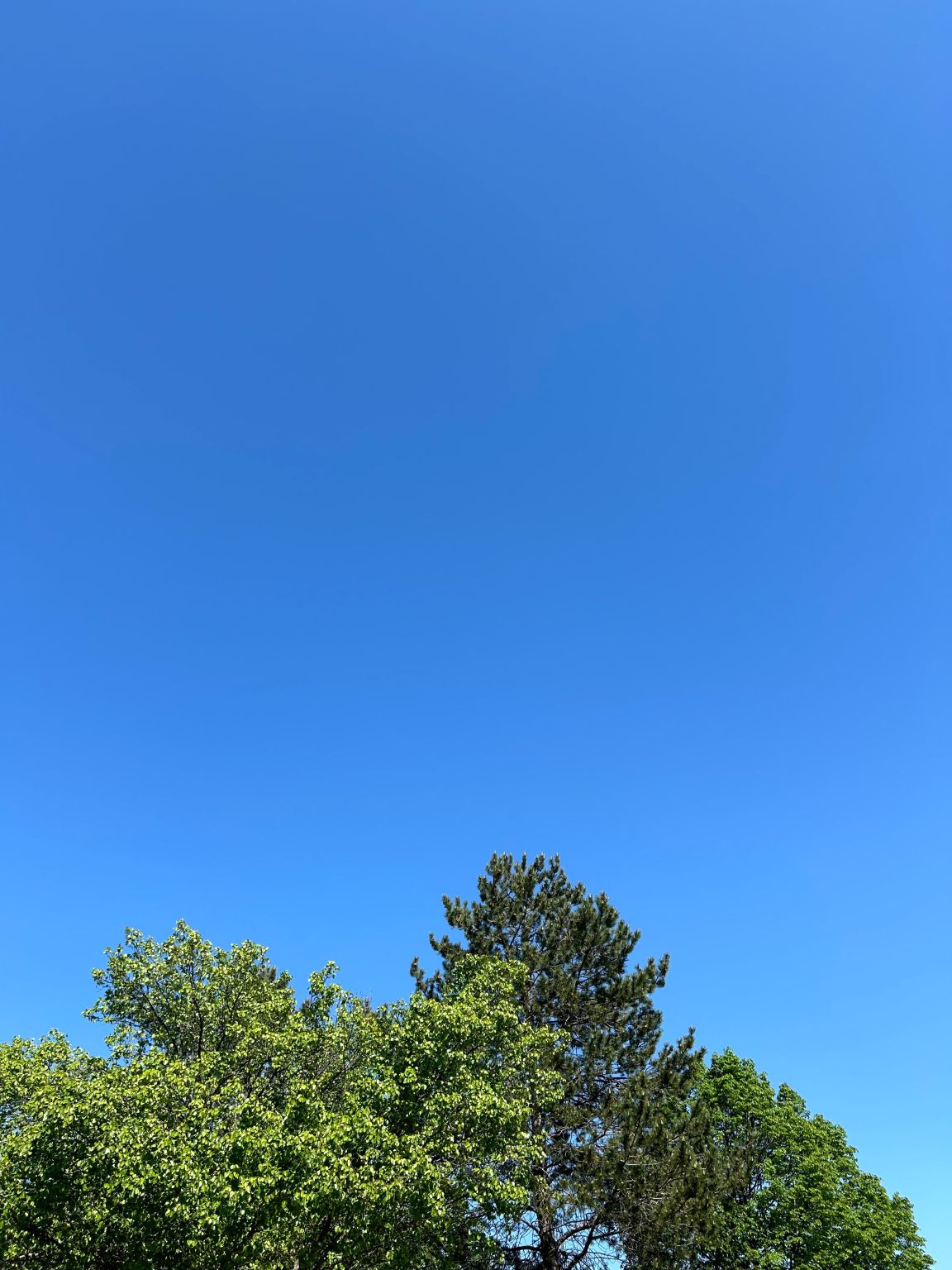 Maple Health DPC on LinkedIn: We're having wonderful weather today in ... Maple Health DPC on LinkedIn: We're having wonderful weather today in ...