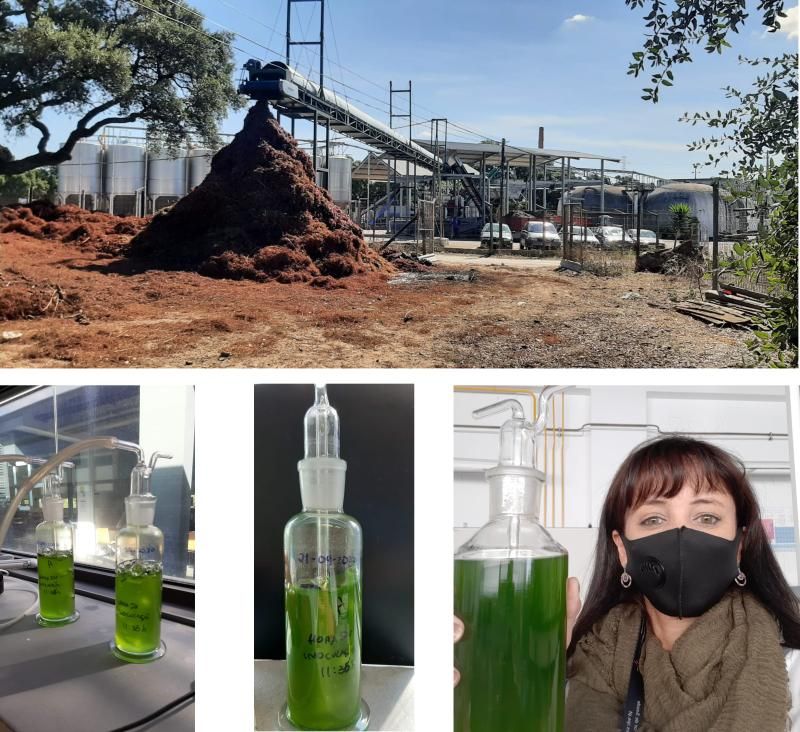 Nilmara Russo Braz Dias, PhD on LinkedIn: Don´t waste your waste! Your ... Nilmara Russo Braz Dias, PhD on LinkedIn: Don´t waste your waste! Your ...