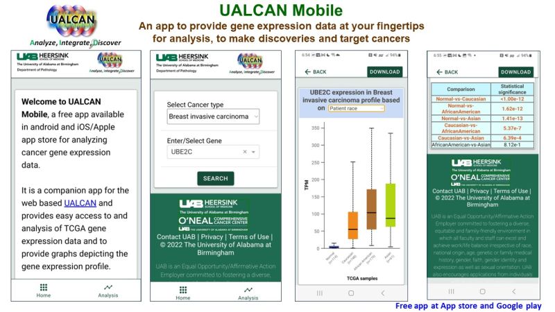 David Rubey on LinkedIn: #angular #ionic #javascript #android #ios David Rubey on LinkedIn: #angular #ionic #javascript #android #ios