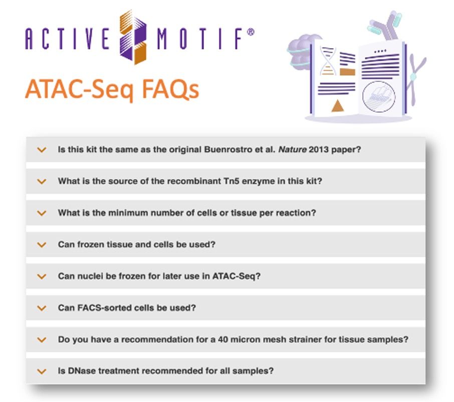 Active Motif on LinkedIn: #epigenetics #atacseq #genomics #immunooncology Active Motif on LinkedIn: #epigenetics #atacseq #genomics #immunooncology
