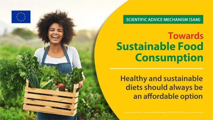 The Good Food Institute Europe on LinkedIn: Towards sustainable food ... The Good Food Institute Europe on LinkedIn: Towards sustainable food ...