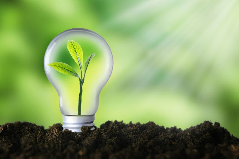 Ecobliss Retail Packaging on LinkedIn: #packaging #retail #sustainability Ecobliss Retail Packaging on LinkedIn: #packaging #retail #sustainability