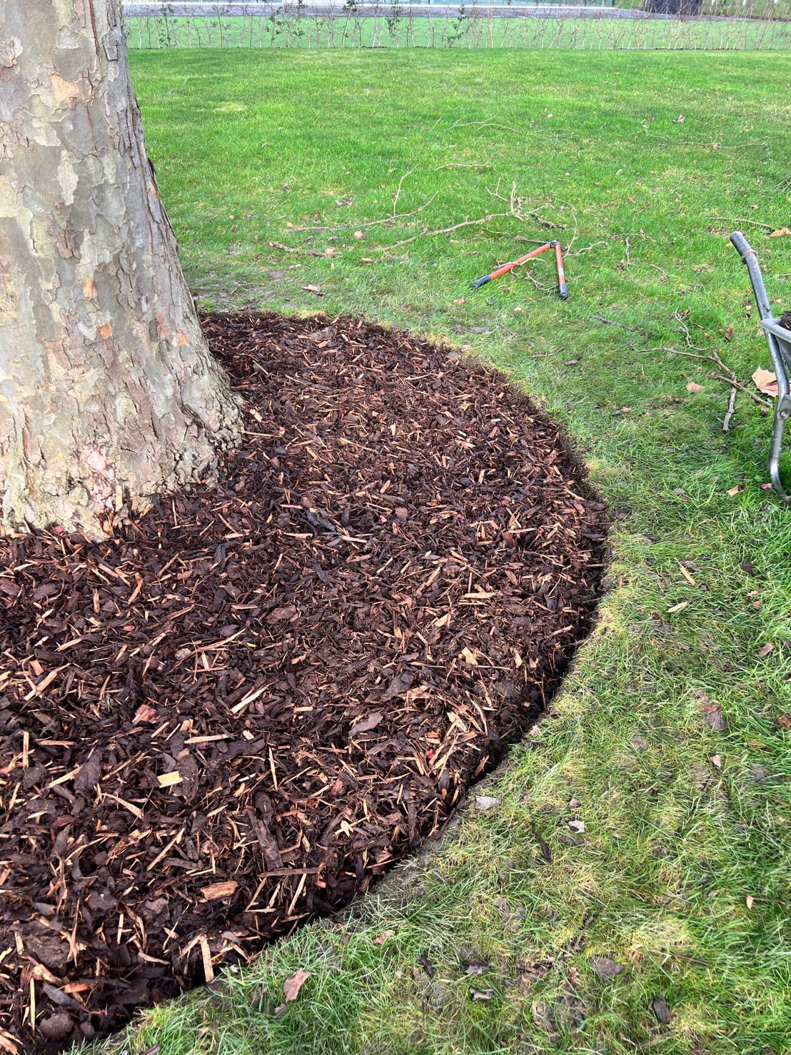 Ben Jackson on LinkedIn: Creating tree pits and edging off today. Small ... Ben Jackson on LinkedIn: Creating tree pits and edging off today. Small ...
