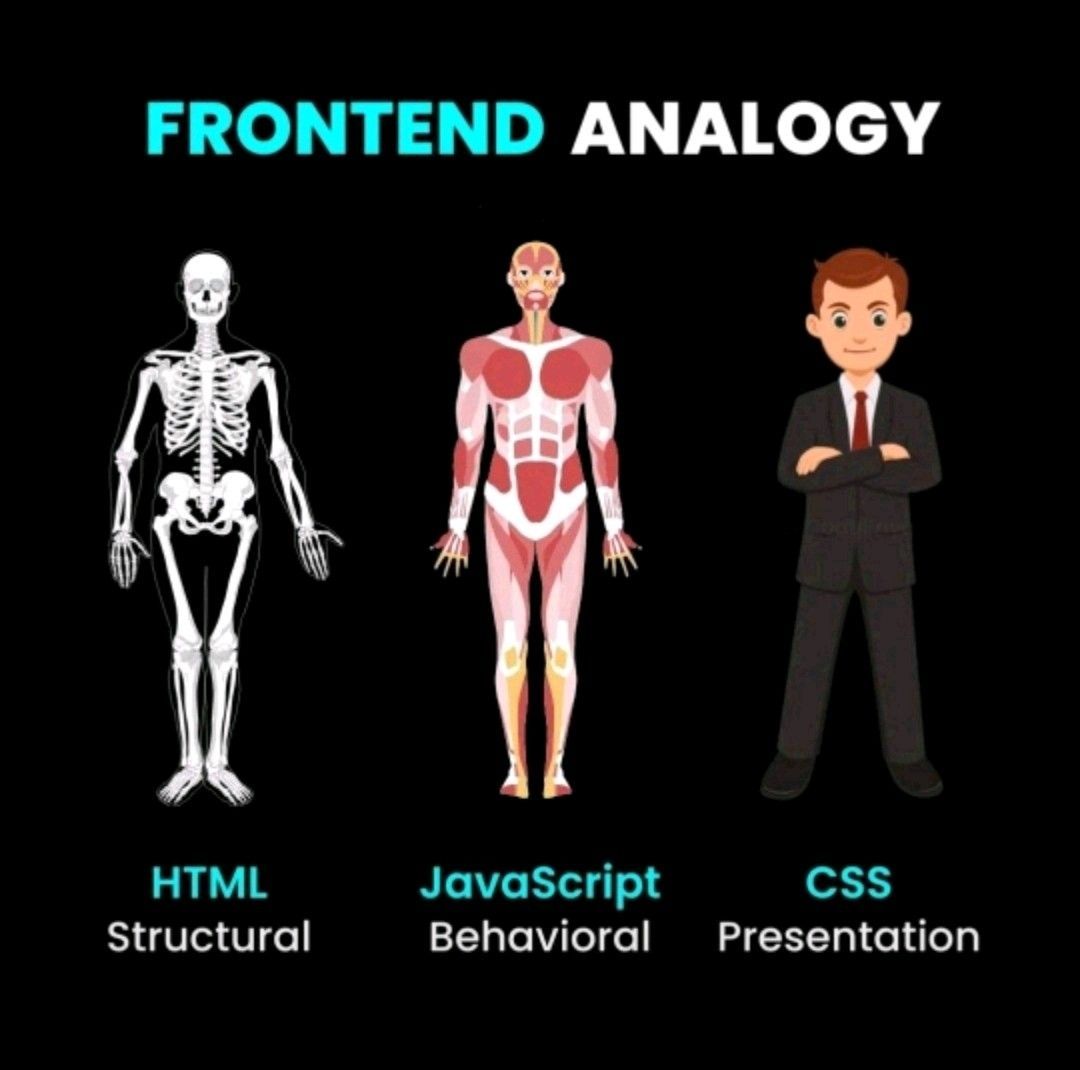 Najib Bohli on LinkedIn: #webdevelopment #javascript #reactjs #react # ... Najib Bohli on LinkedIn: #webdevelopment #javascript #reactjs #react # ...