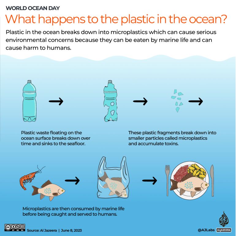 Joseph Ekenwosu, PhD on LinkedIn: See what happens to plastic in the ... Joseph Ekenwosu, PhD on LinkedIn: See what happens to plastic in the ...