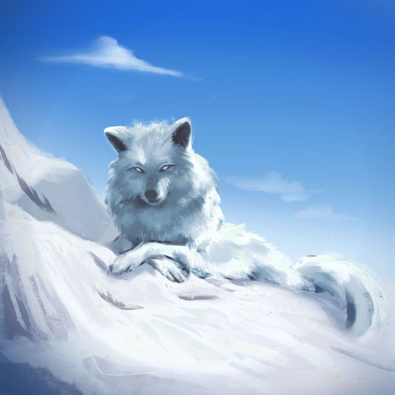 Meg Garrioch on LinkedIn: #dungeonsanddragons #dnd #winter #wolf # ... Meg Garrioch on LinkedIn: #dungeonsanddragons #dnd #winter #wolf # ...