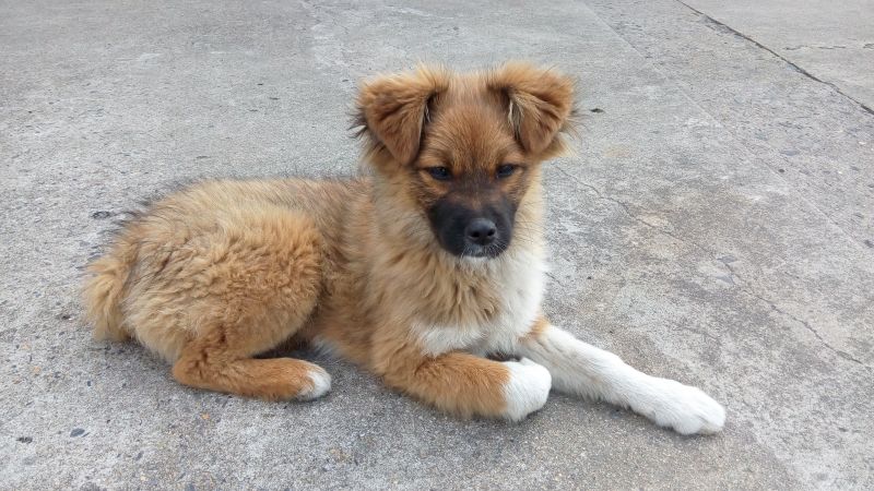 Robert Zhu on LinkedIn: Extremely lovely ... Robert Zhu on LinkedIn: Extremely lovely ...