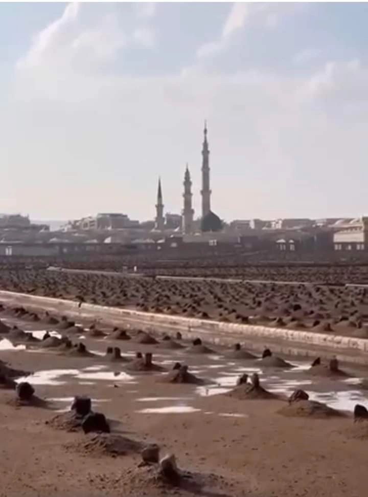 MD Sandro Ashiqul Islam on LinkedIn: Jannah (paradise) is mentioned 147 ... MD Sandro Ashiqul Islam on LinkedIn: Jannah (paradise) is mentioned 147 ...