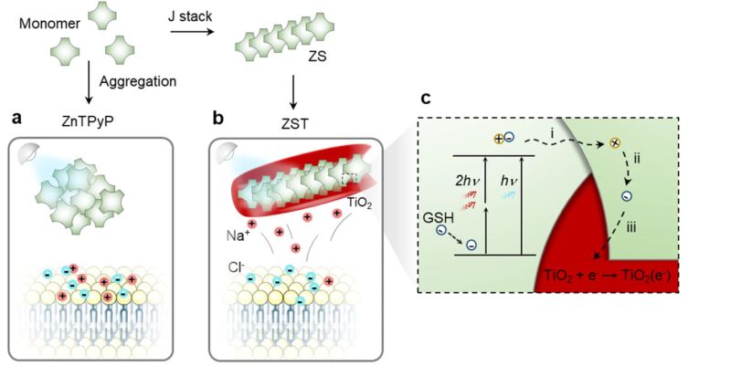 Bioelectronics Drop on LinkedIn: Optically-triggered electrical ... Bioelectronics Drop on LinkedIn: Optically-triggered electrical ...