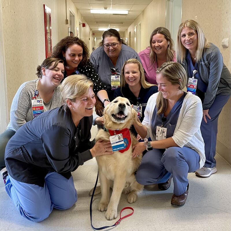 Julie Mosher, MS, RN, NPD-BC, NEA-BC on LinkedIn: Welcome Charlie! One ... Julie Mosher, MS, RN, NPD-BC, NEA-BC on LinkedIn: Welcome Charlie! One ...