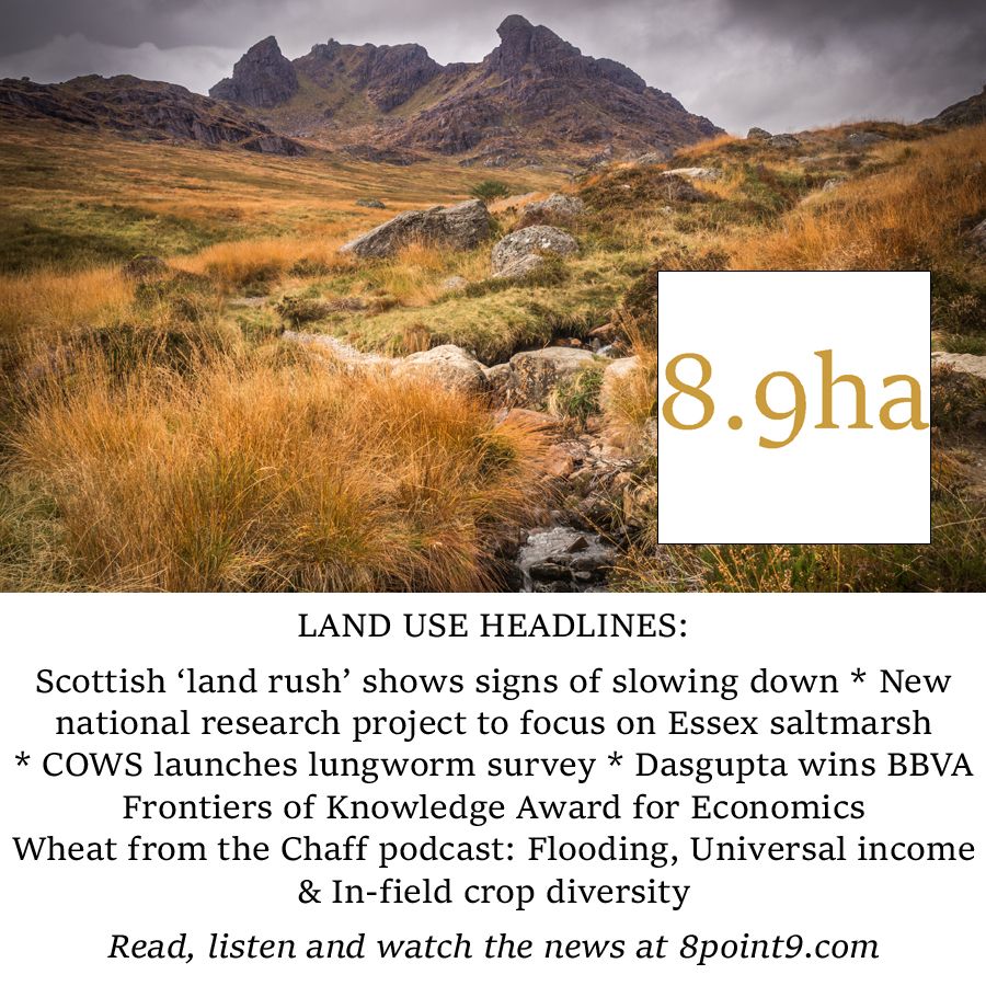 ffinlo Costain on LinkedIn: LAND NEWS: Scottish ‘land rush’ shows signs ... ffinlo Costain on LinkedIn: LAND NEWS: Scottish ‘land rush’ shows signs ...