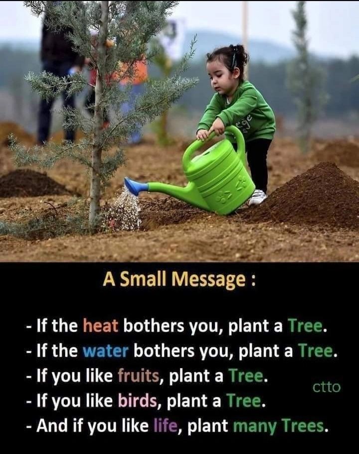 Emmanuel Avula on LinkedIn: please plant a 🌲 Emmanuel Avula on LinkedIn: please plant a 🌲