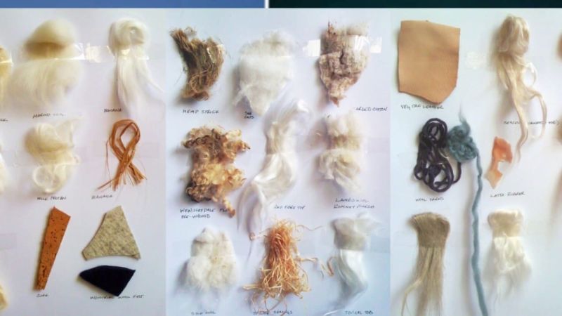 Home Quirer on LinkedIn: Different Types of Fibers Explained Home Quirer on LinkedIn: Different Types of Fibers Explained
