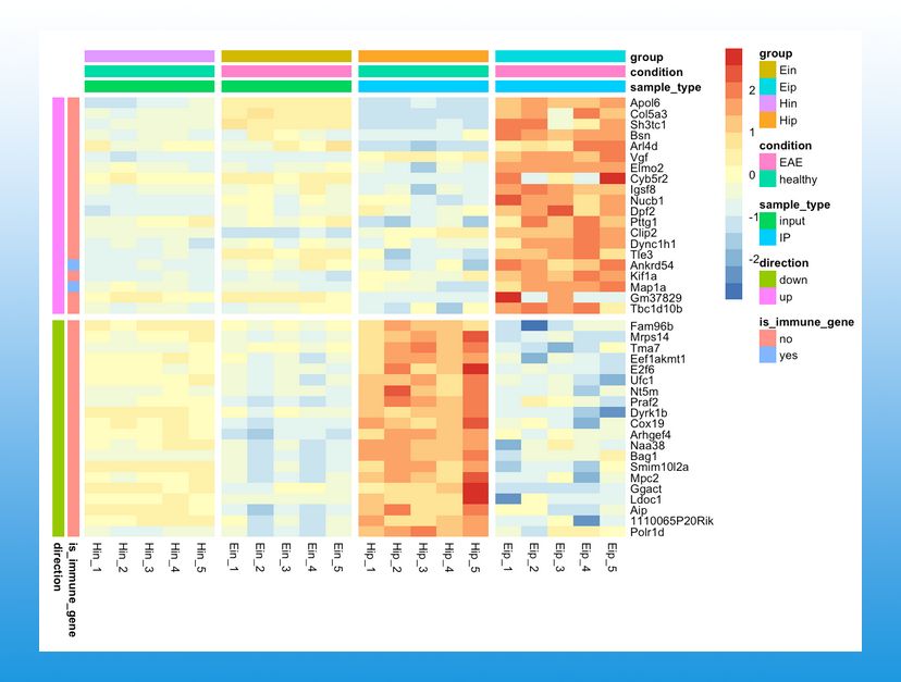 Joachim Schork on LinkedIn: #rstats #datavisualization #heatmaps Joachim Schork on LinkedIn: #rstats #datavisualization #heatmaps
