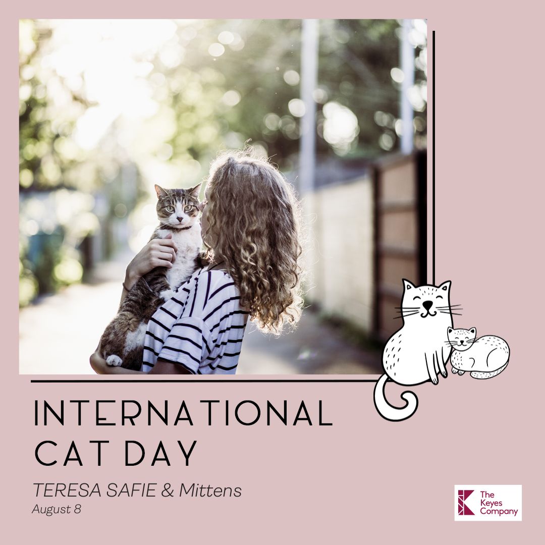 Teresa Safie, SRES, PSA, E-PRO, SFR, on LinkedIn: #internationalcatday ... Teresa Safie, SRES, PSA, E-PRO, SFR, on LinkedIn: #internationalcatday ...