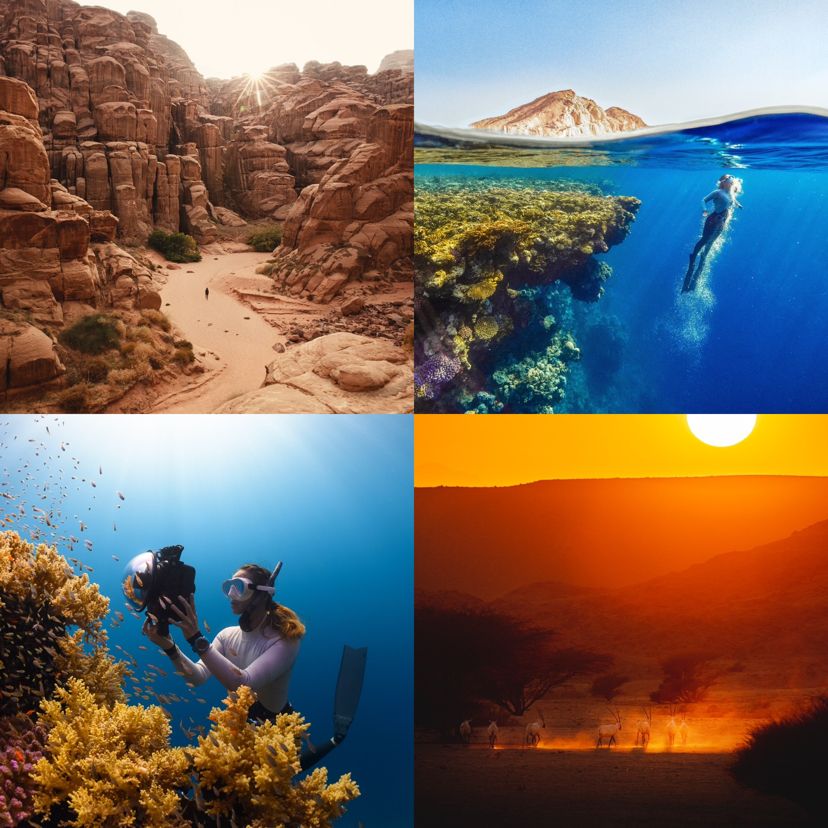 Niall Gibbons on LinkedIn: As NEOM looks to welcome visitors from 2024 ... Niall Gibbons on LinkedIn: As NEOM looks to welcome visitors from 2024 ...