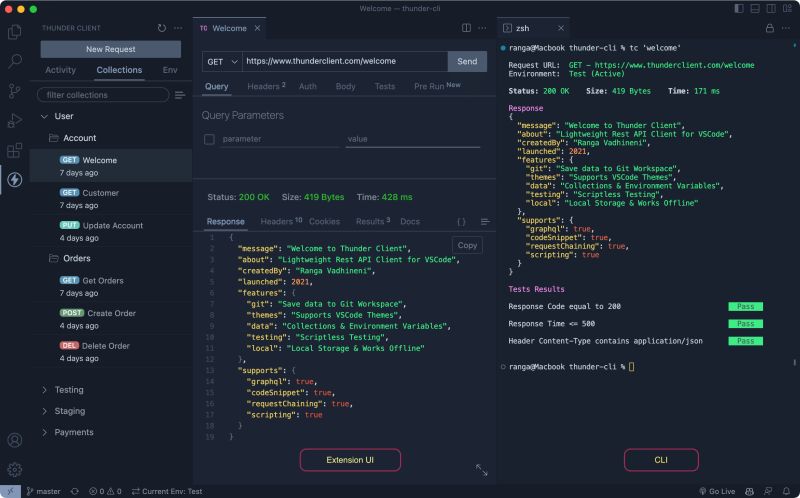 Introducing Thunder Client: a VSCode extension | Max Shahdoost posted ... Introducing Thunder Client: a VSCode extension | Max Shahdoost posted ...