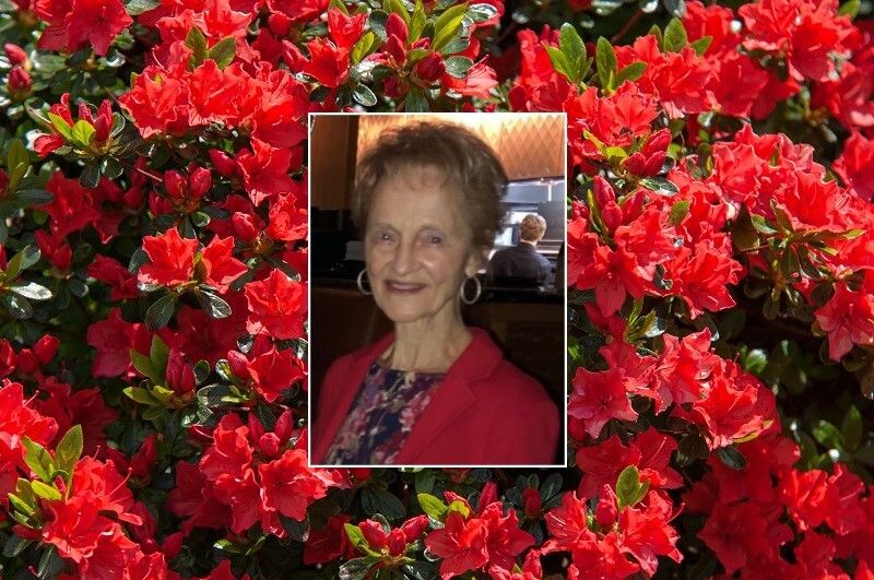 Davidson County Source on LinkedIn: OBITUARY: Patricia Ann (Pat ... Davidson County Source on LinkedIn: OBITUARY: Patricia Ann (Pat ...