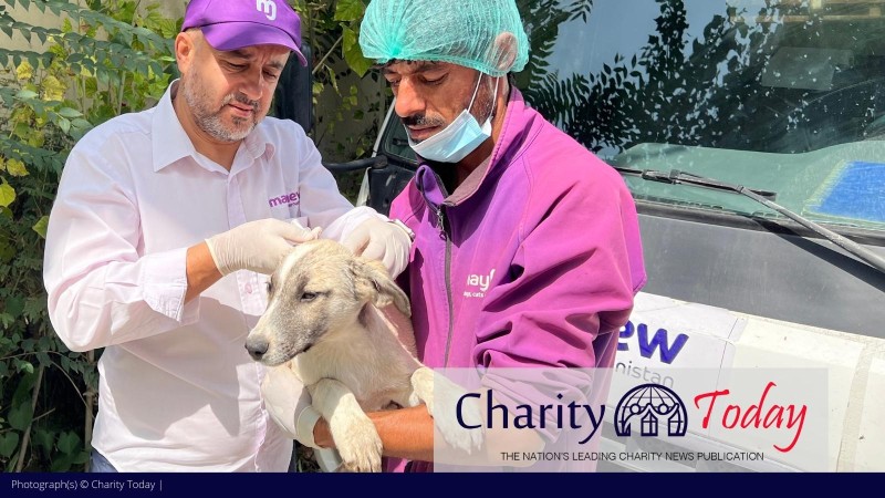 Lee B. Rayment on LinkedIn: Zero recorded rabies cases in Kabul thanks ... Lee B. Rayment on LinkedIn: Zero recorded rabies cases in Kabul thanks ...