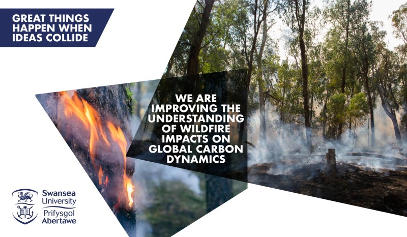 Keiran Davies on LinkedIn: Understanding how forest fires affect carbon ... Keiran Davies on LinkedIn: Understanding how forest fires affect carbon ...