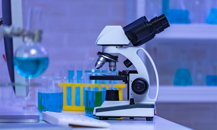 Angelica Molas on LinkedIn: Microscopy technique reveals hidden ... Angelica Molas on LinkedIn: Microscopy technique reveals hidden ...