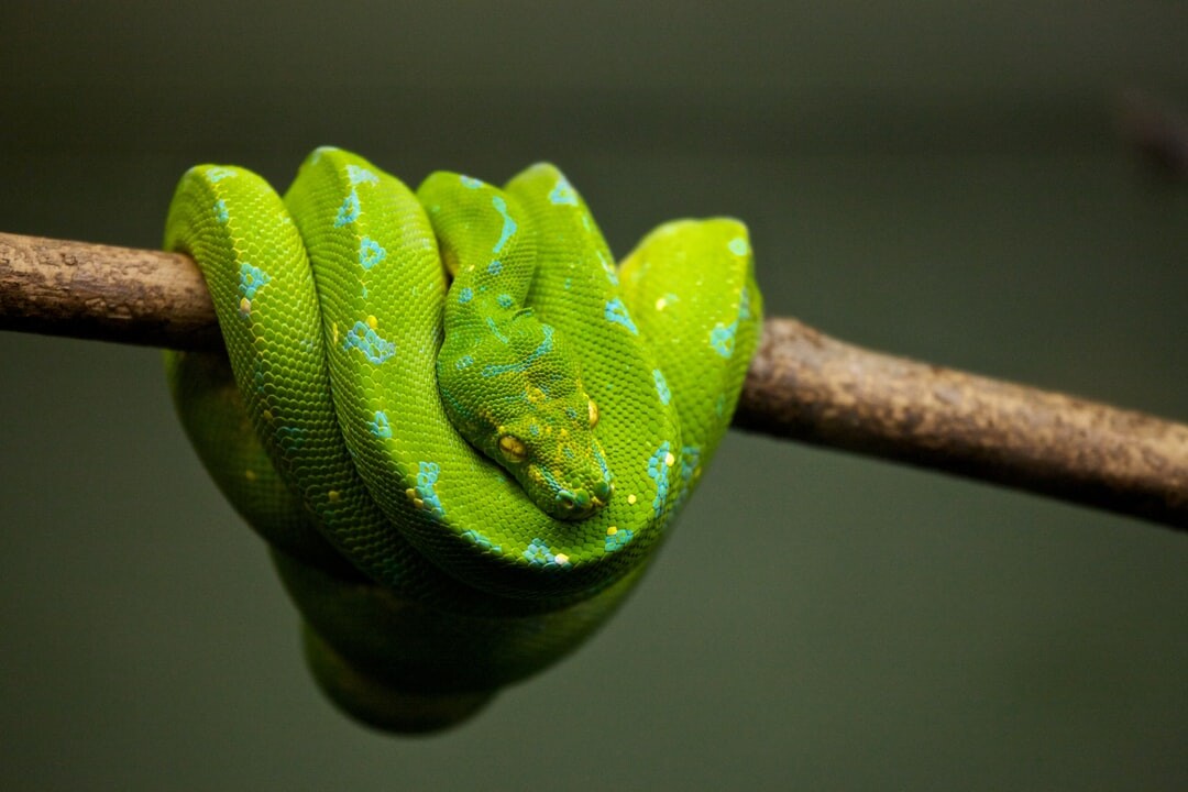 Katie Hickey on LinkedIn: Lead Python Engineer! Katie Hickey on LinkedIn: Lead Python Engineer!