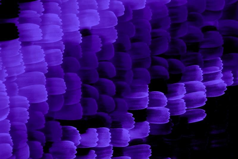 Riten Patel on LinkedIn: Behind the Breakthrough | Calyx Riten Patel on LinkedIn: Behind the Breakthrough | Calyx