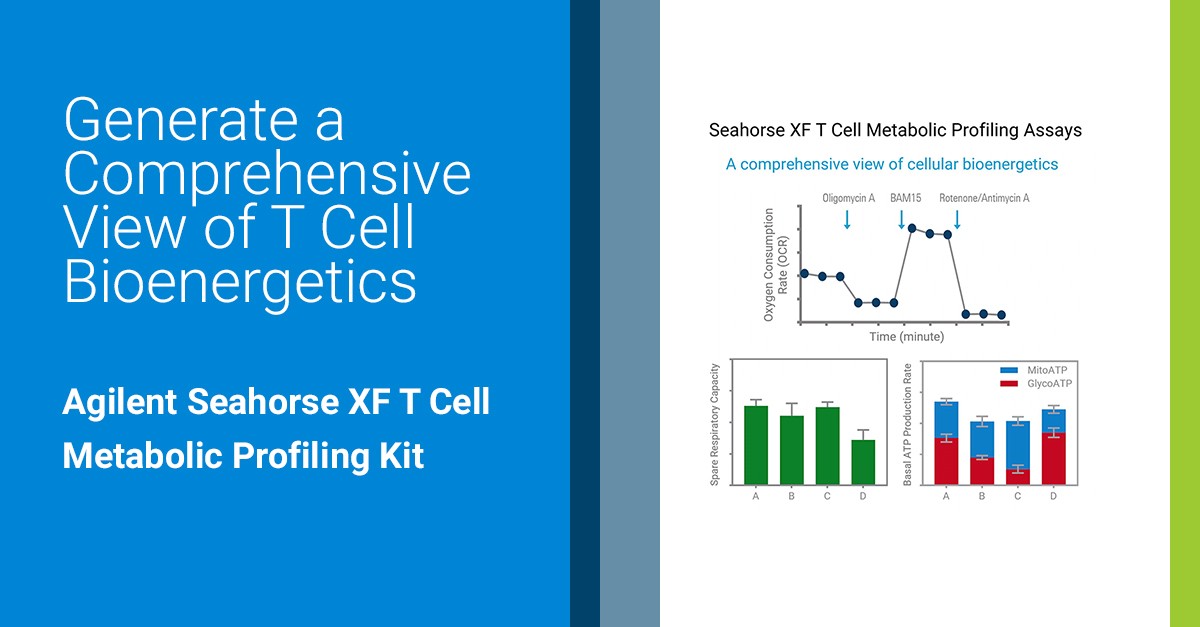 Agilent Cell Analysis on LinkedIn: Seahorse XF T Cell Metabolic ... Agilent Cell Analysis on LinkedIn: Seahorse XF T Cell Metabolic ...