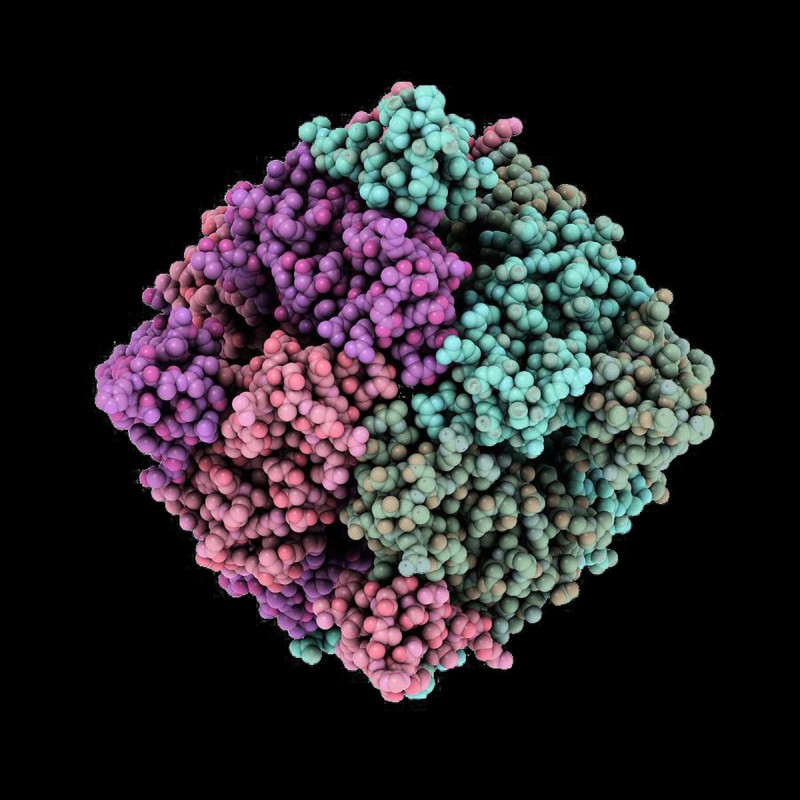 GEG-Tech on LinkedIn: Miniaturized CRISPR protein opens door for gene ... GEG-Tech on LinkedIn: Miniaturized CRISPR protein opens door for gene ...
