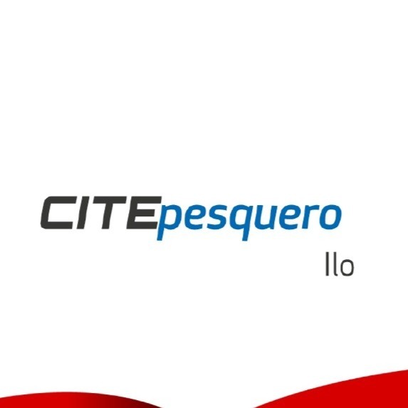 CITE pesquero Ilo - Técnico - Instituto Tecnológico de la Producción ... CITE pesquero Ilo - Técnico - Instituto Tecnológico de la Producción ...