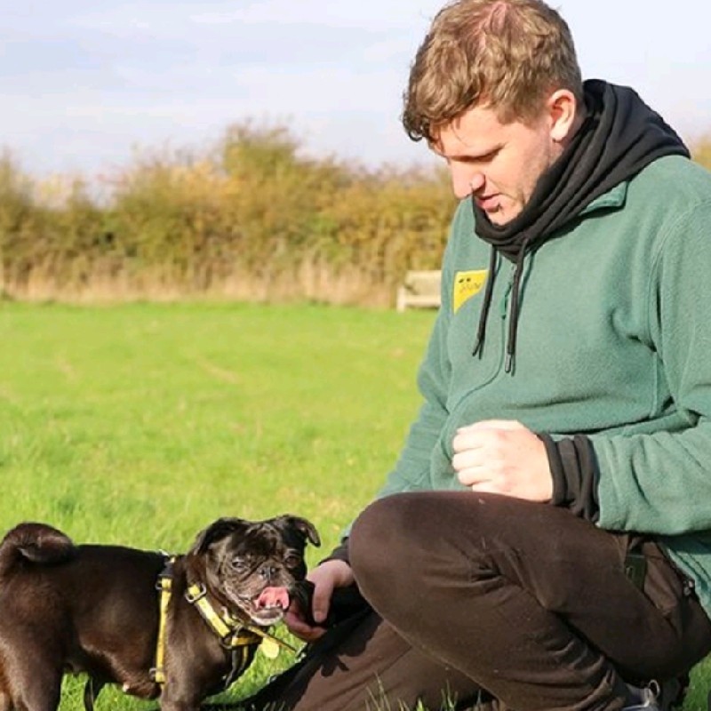 Mark Byrne - Rehabilitation Trainer - Dogs Trust | LinkedIn Mark Byrne - Rehabilitation Trainer - Dogs Trust | LinkedIn